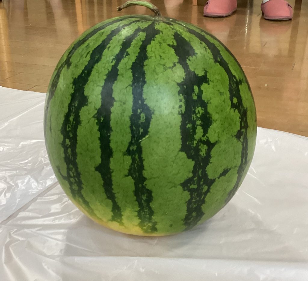 IMG_3172 | 城下庵